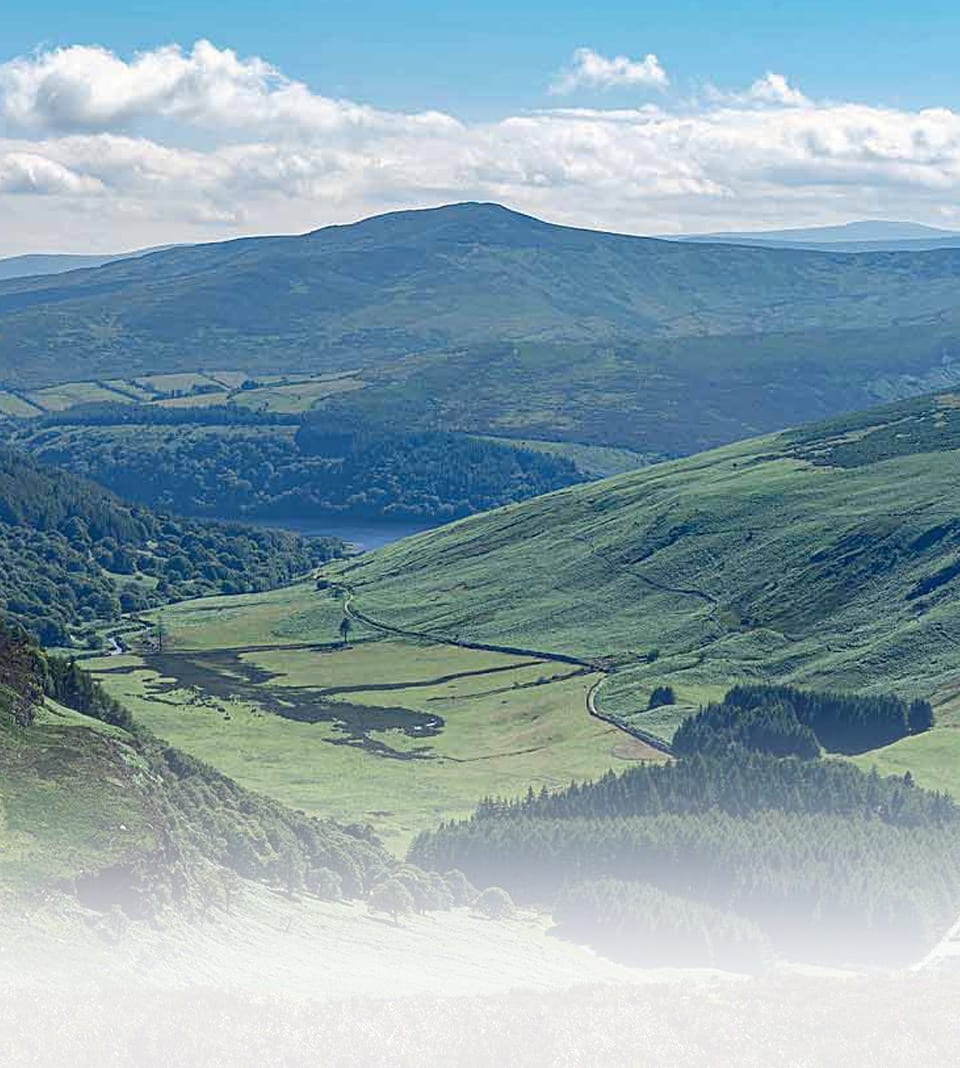 Rathnew - Time Machine