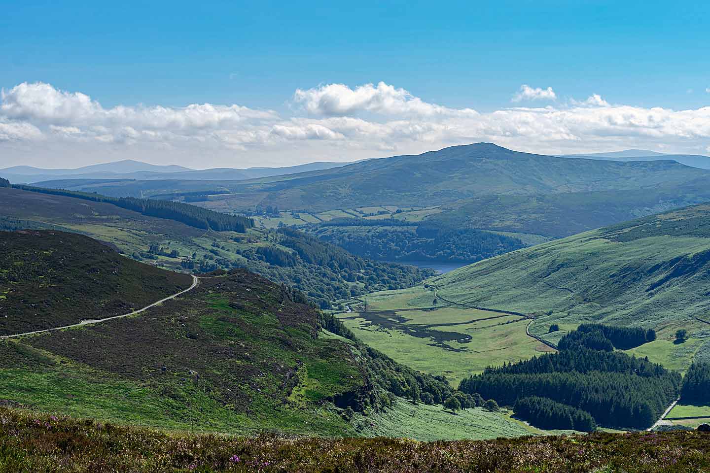 Wicklow - Time Machine