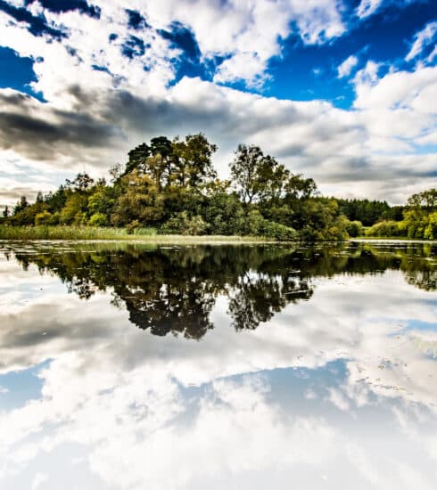 Monaghan - Time Machine